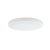 Lede Circle Step 300mm Ceiling Button | The Lighting Centre NZ