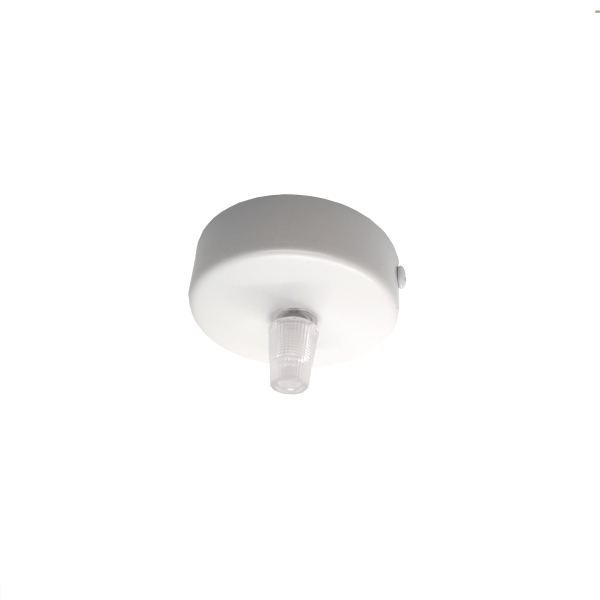 Small Ceiling Rose 65mm | The Lighting Centre NZ