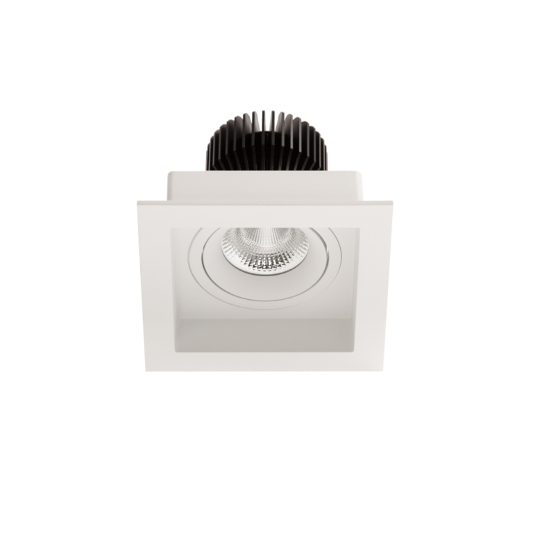 Triton 1 Light Single LED Downlight | The Lighting Centre NZ