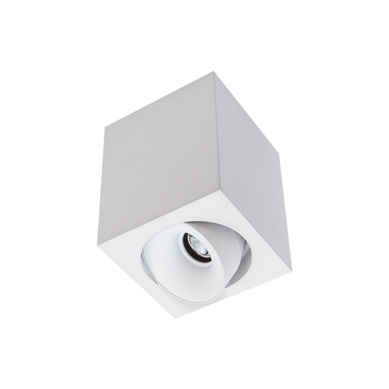 Pheeb 100mm Adjustable Surface Mount Downlight | The Lighting Centre NZ