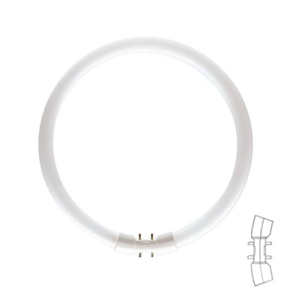 T5 Circular Fluorescent Lamp 2GX13 40W 840 Cool White [T5 40w] - $69.00 ...