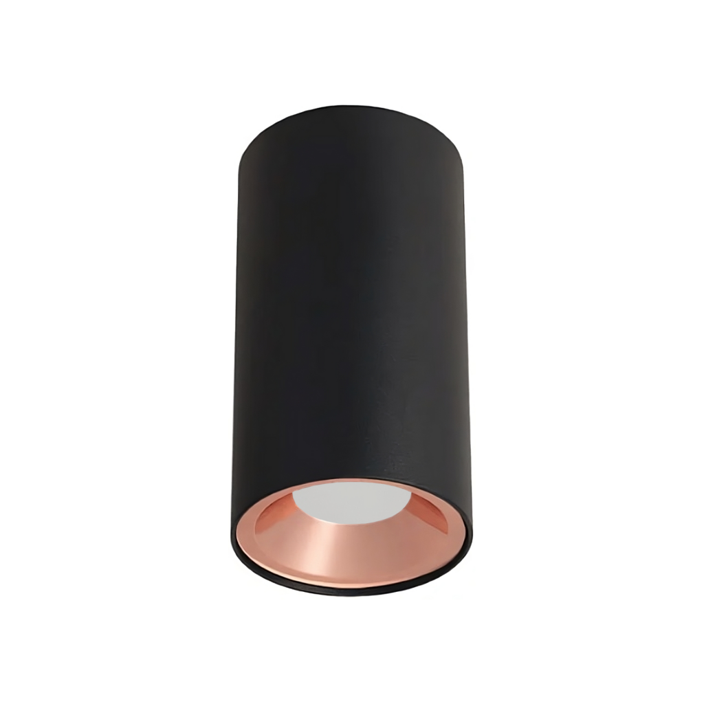 Zela Fixed Opaque Lens Surface Mount Downlight | The Lighting Centre NZ