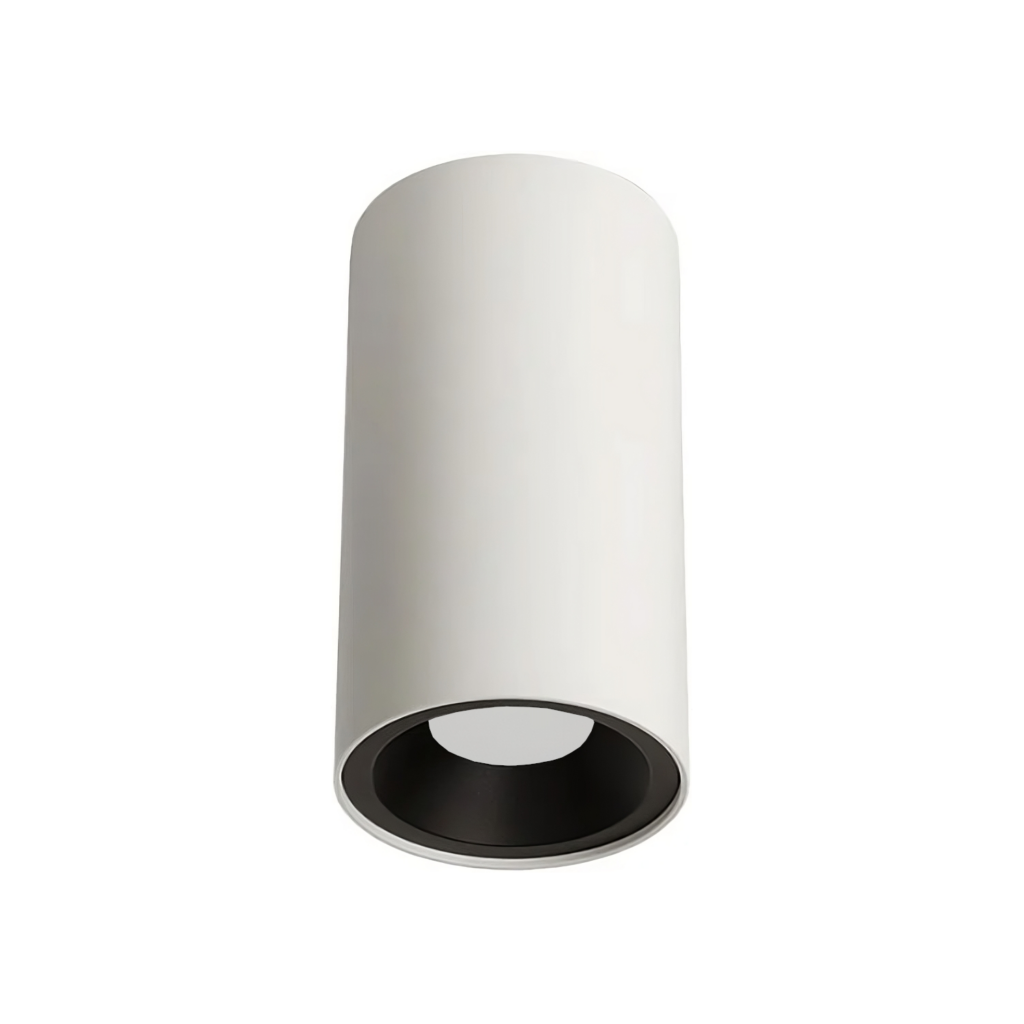 Zela Fixed Opaque Lens Surface Mount Downlight | The Lighting Centre NZ