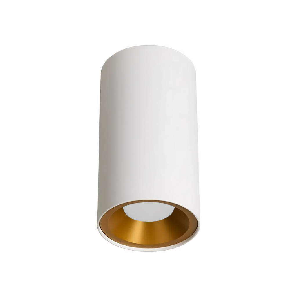 Zela Fixed Opaque Lens Surface Mount Downlight | The Lighting Centre NZ
